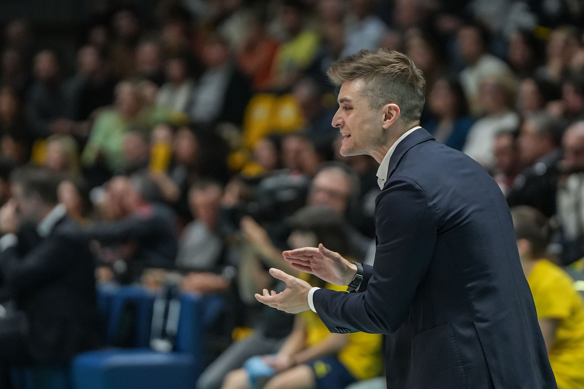 Francesco Petrella: "A Padova vogliamo vincere e portare a casa punti ...